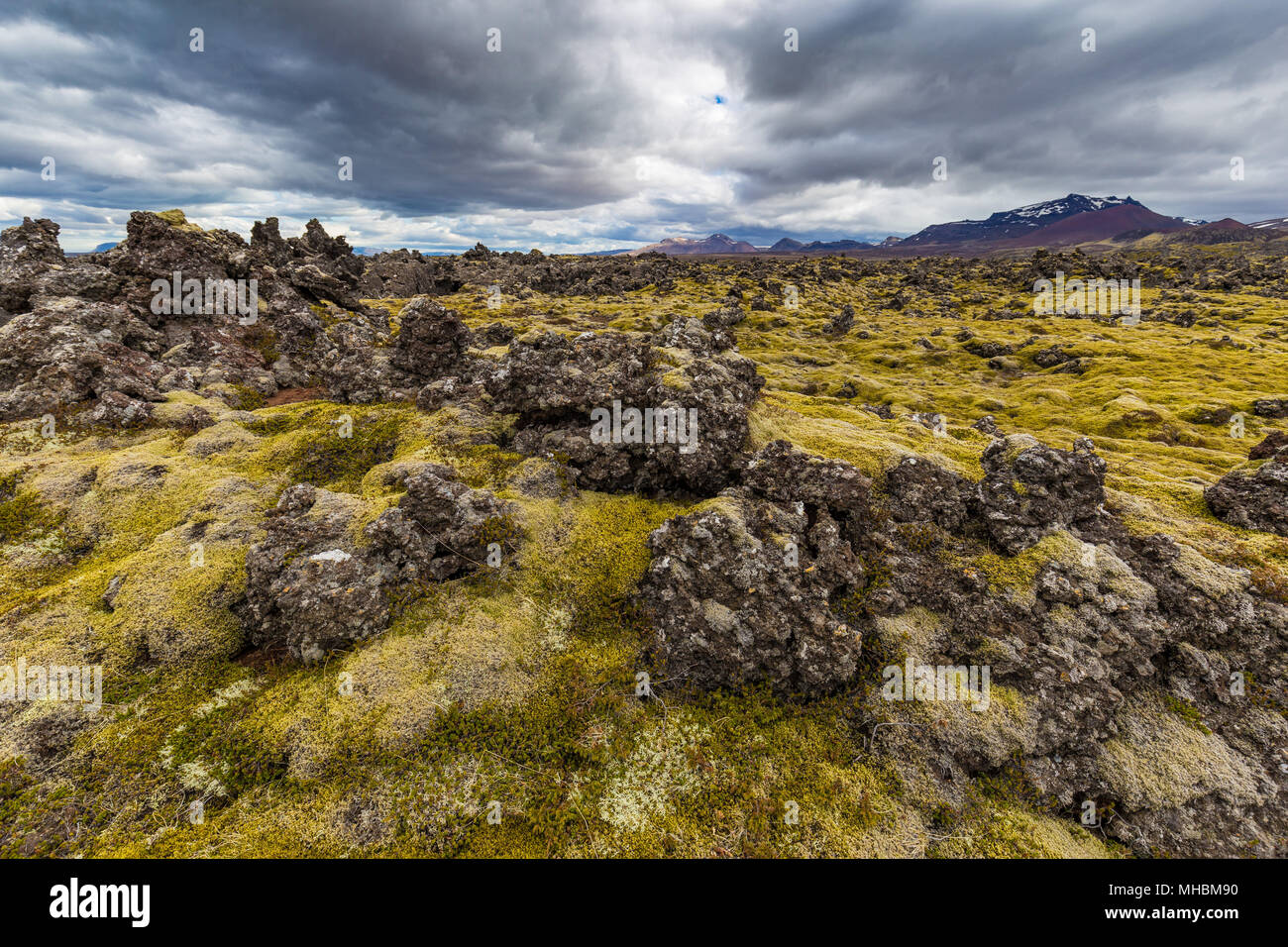 Berserkjahraun lava field in Snaefellsnes peninsula, Iceland Stock ...