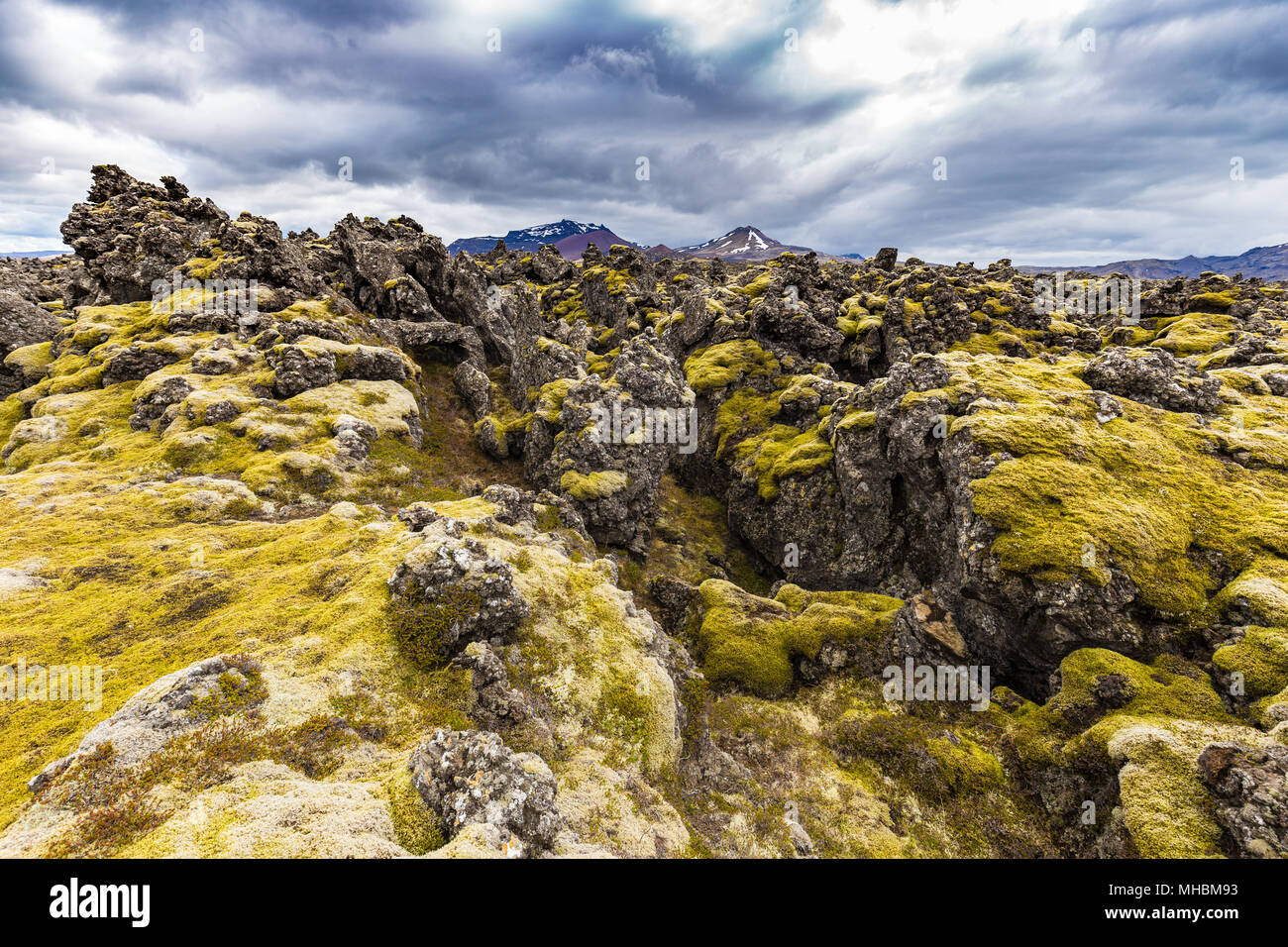 Berserkjahraun lava field in Snaefellsnes peninsula, Iceland Stock ...