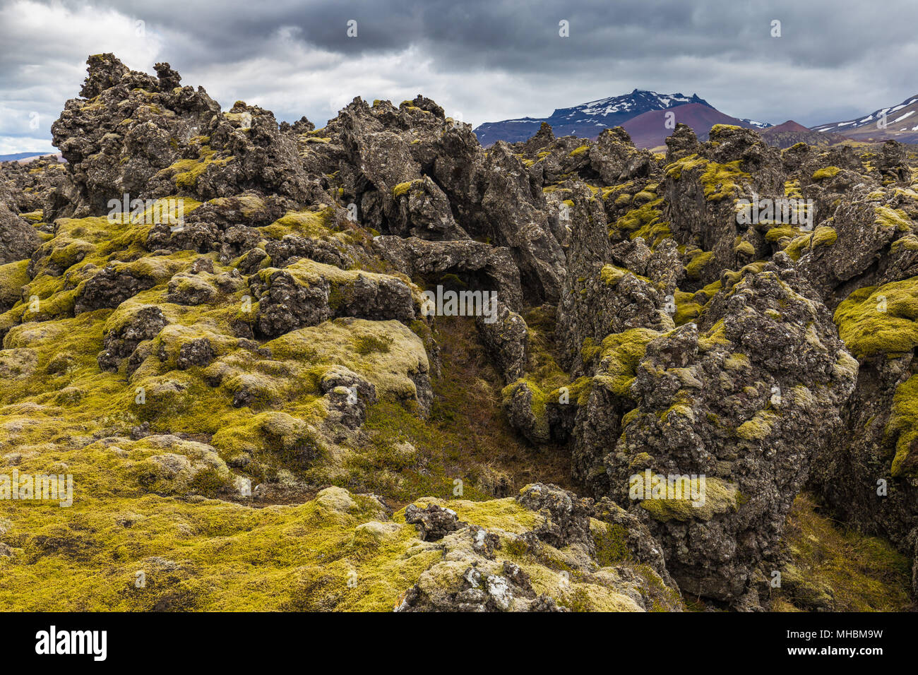 Berserkjahraun lava field in Snaefellsnes peninsula, Iceland Stock ...