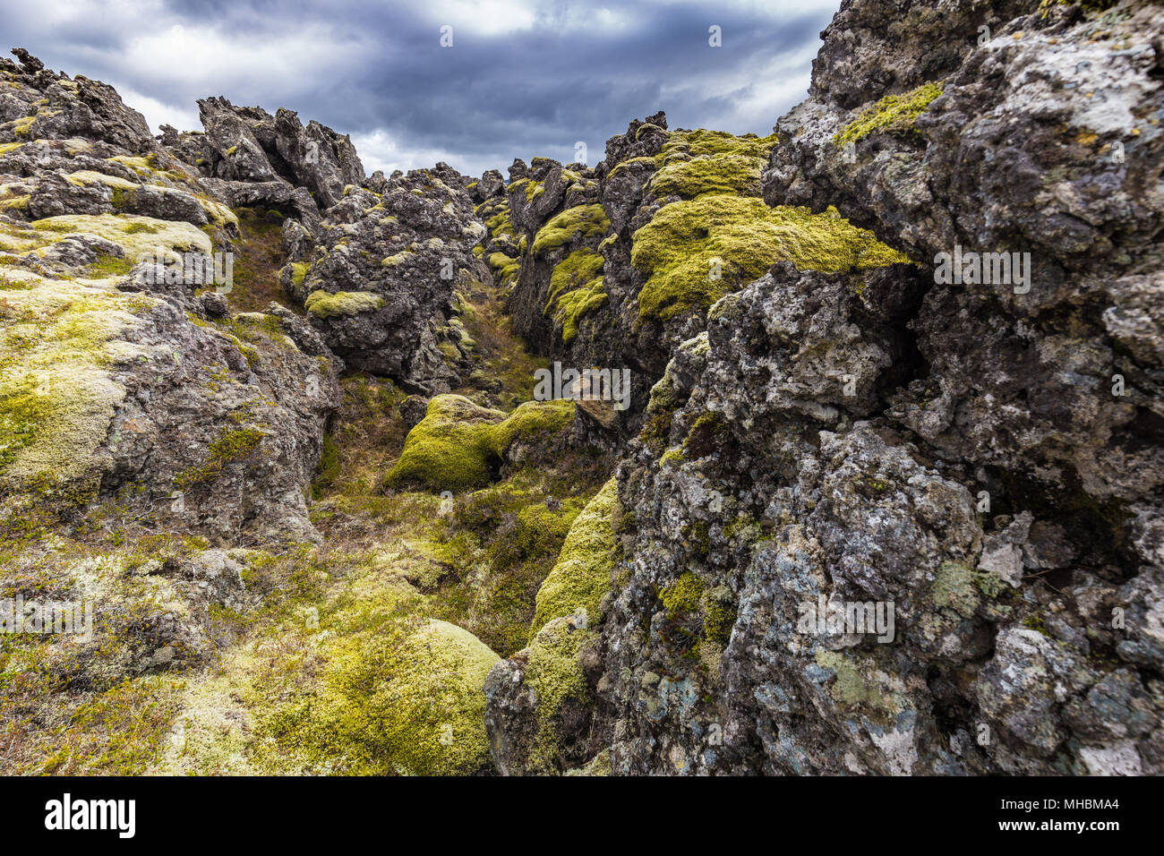 Berserkjahraun lava field in Snaefellsnes peninsula, Iceland Stock ...