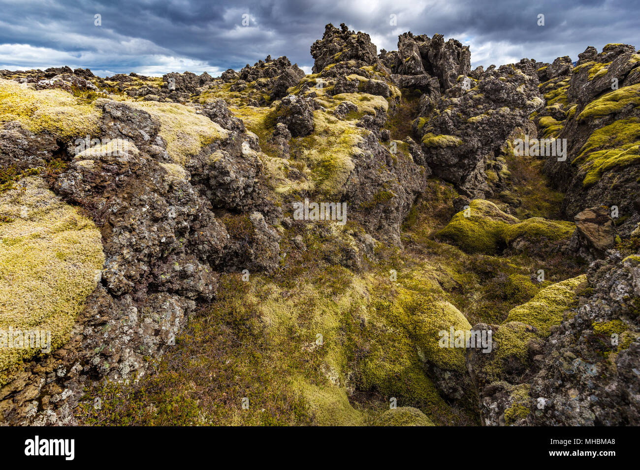 Berserkjahraun lava field in Snaefellsnes peninsula, Iceland Stock ...