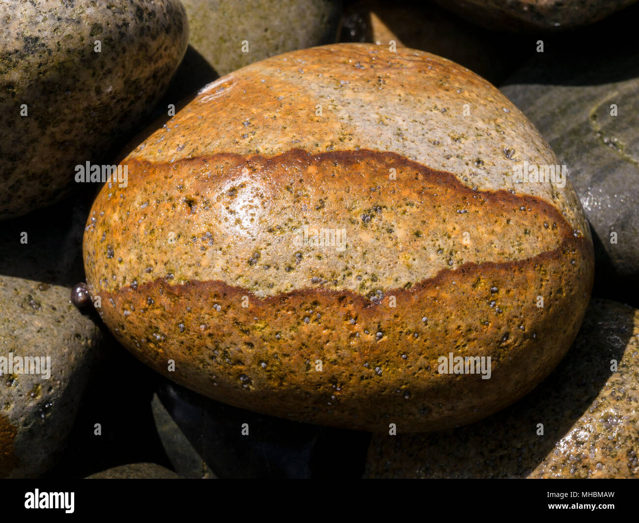 Unusual patterned smooth round white beach pebble Stock Photo - Alamy