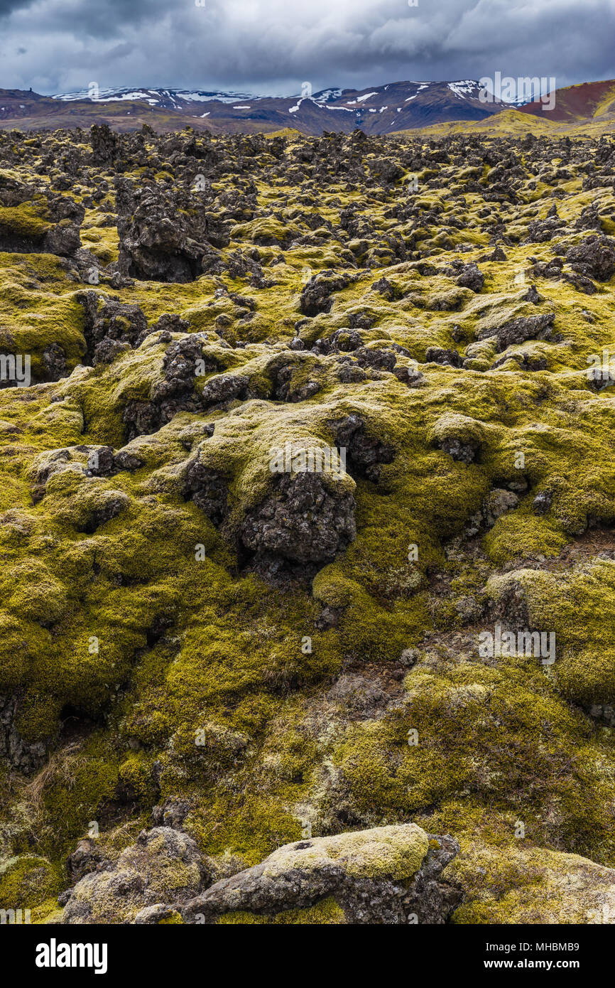 Berserkjahraun lava field in Snaefellsnes peninsula, Iceland Stock ...