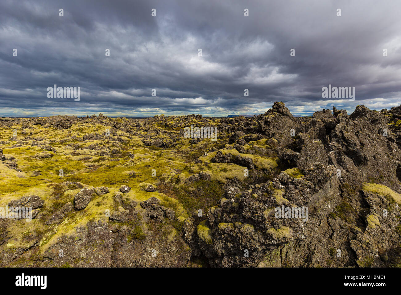 Berserkjahraun lava field in Snaefellsnes peninsula, Iceland Stock ...