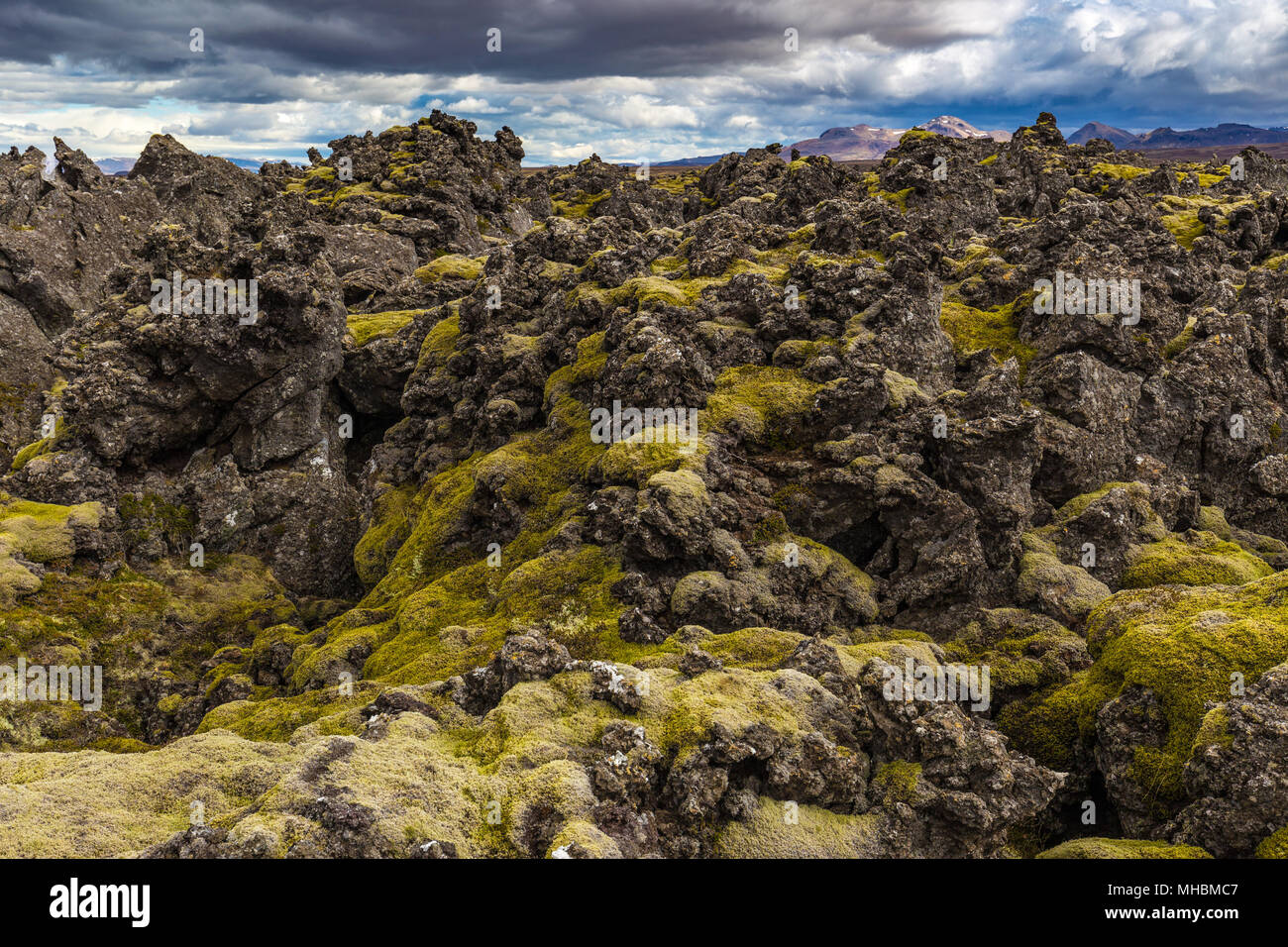 Berserkjahraun lava field in Snaefellsnes peninsula, Iceland Stock ...