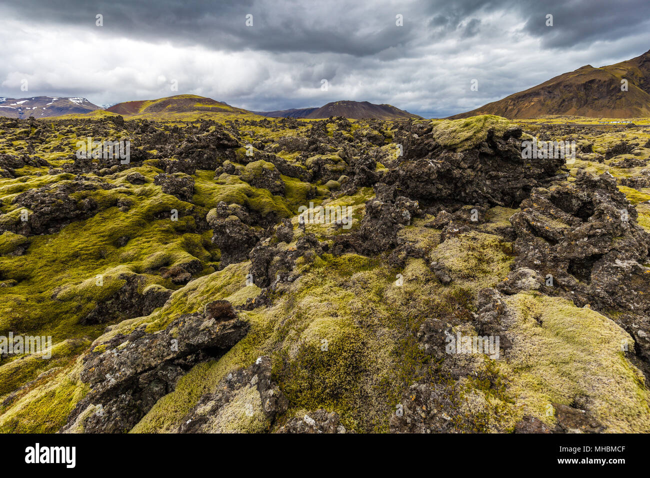 Berserkjahraun lava field in Snaefellsnes peninsula, Iceland Stock ...