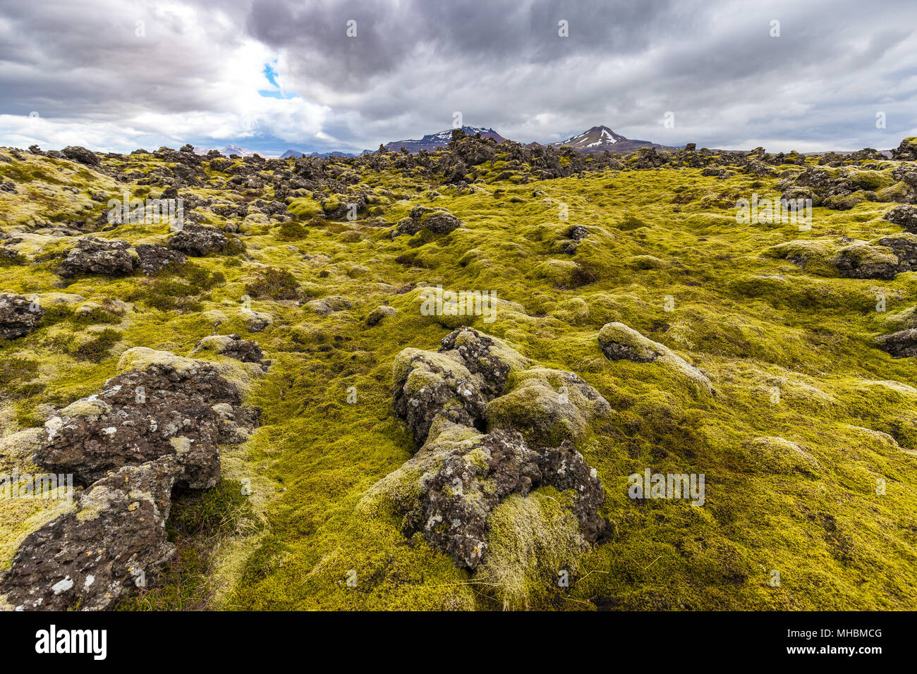 Berserkjahraun lava field in Snaefellsnes peninsula, Iceland Stock ...