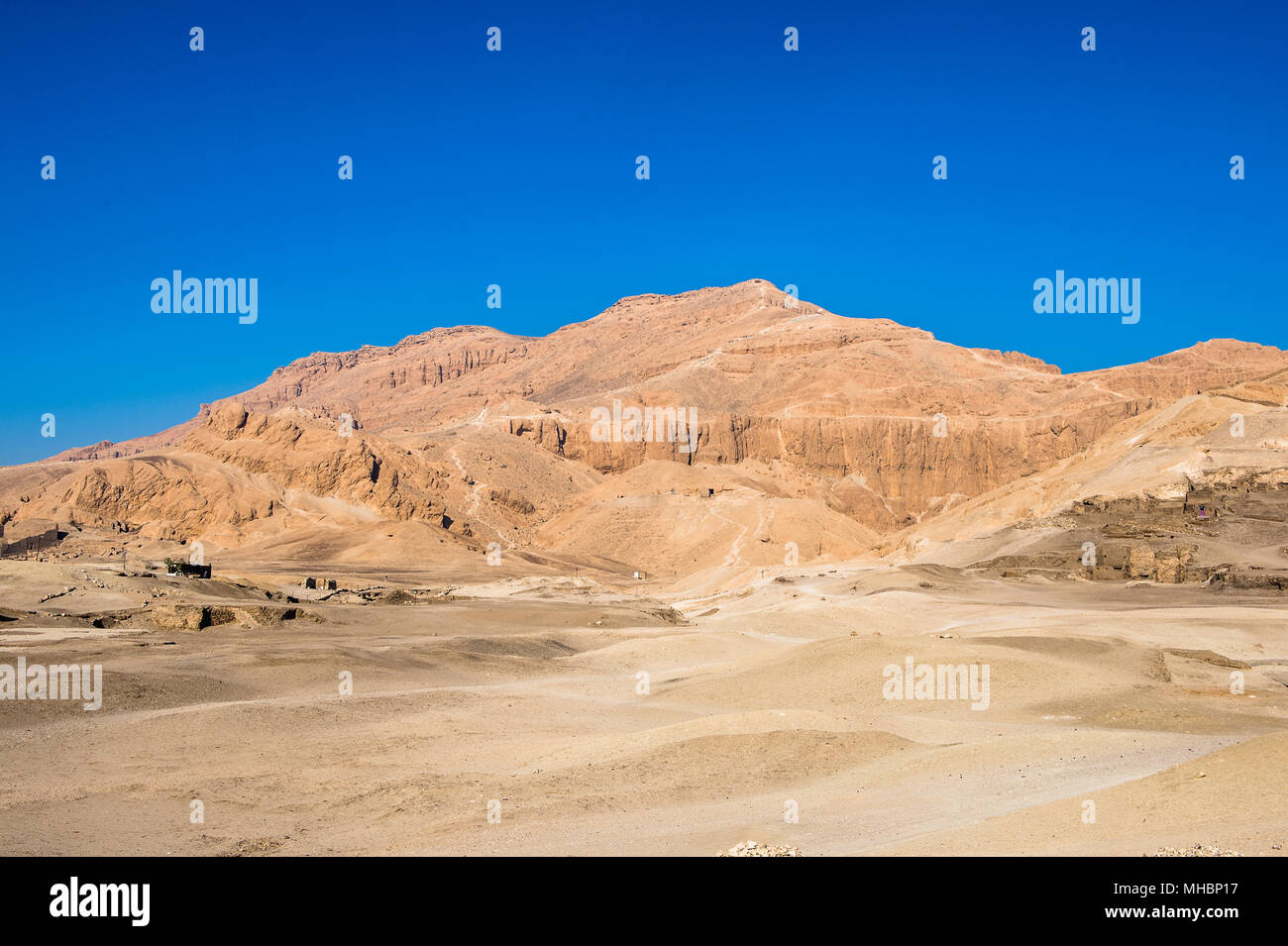 Nature in Egypt Stock Photo - Alamy