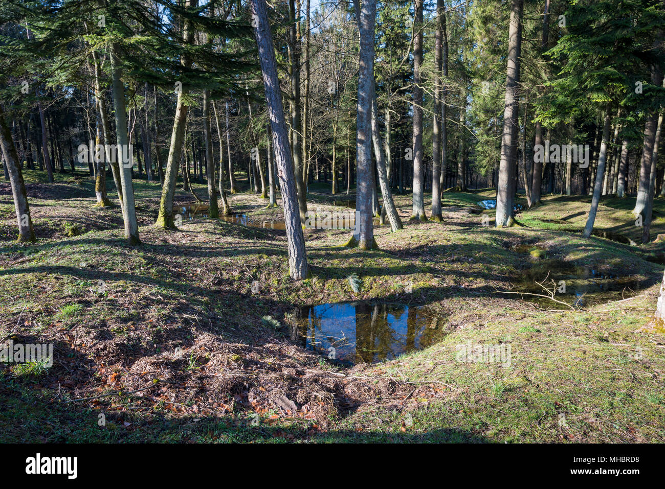 Site of the destroyed village Fleury-devant-Douaumont, grenade funnel ...