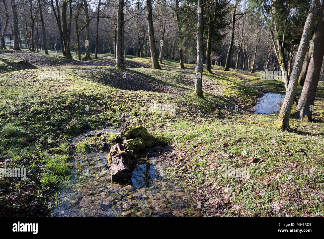 Site of the destroyed village Fleury-devant-Douaumont, grenade funnel ...