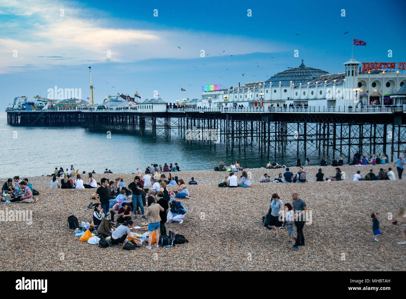 Street light bird uk dusk hi-res stock photography and images - Alamy
