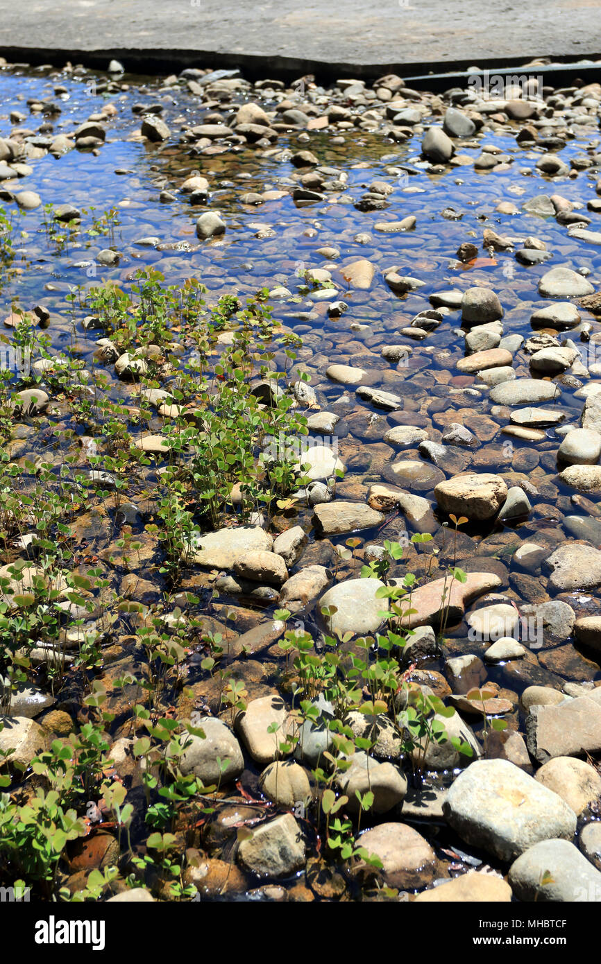 Water and pebbles Stock Photo - Alamy