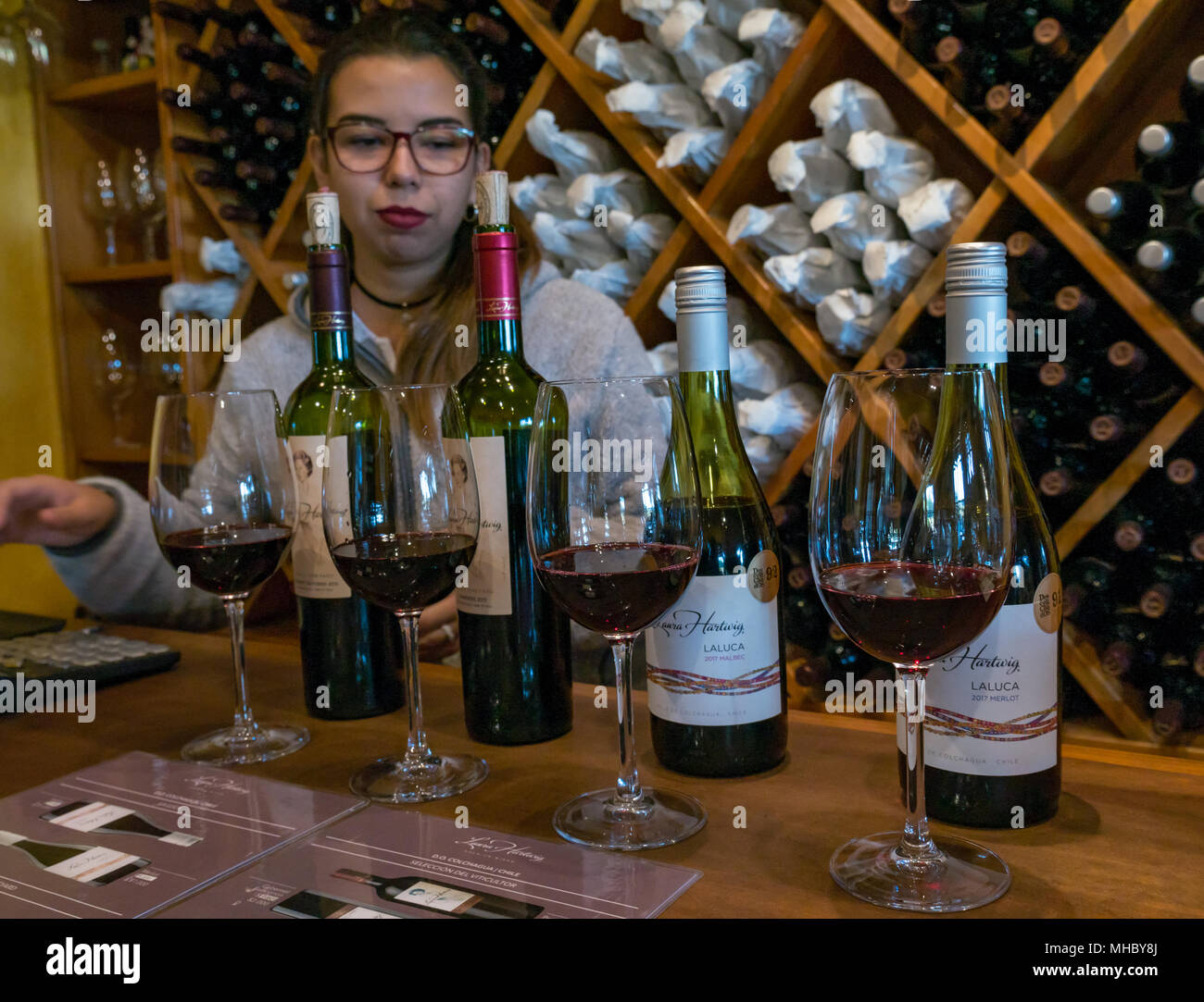 Wine tasting at Laura Hartwig winery, Santa Cruz wine region, Colchagua ...