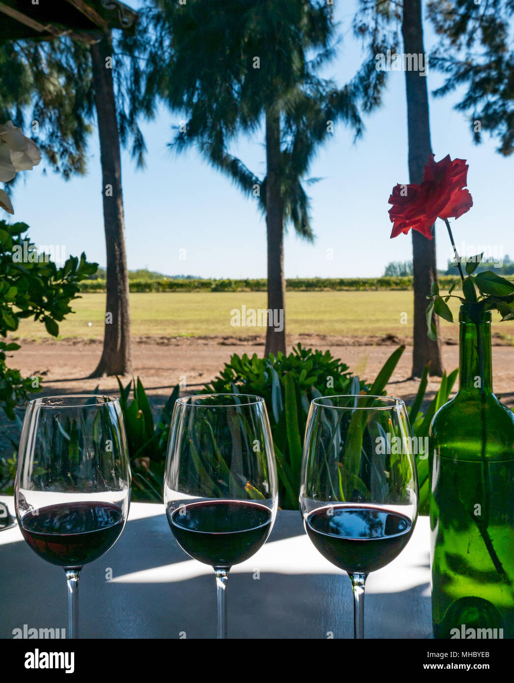Wine tasting glasses, outside porch, at Laura Hartwig winery, Santa ...