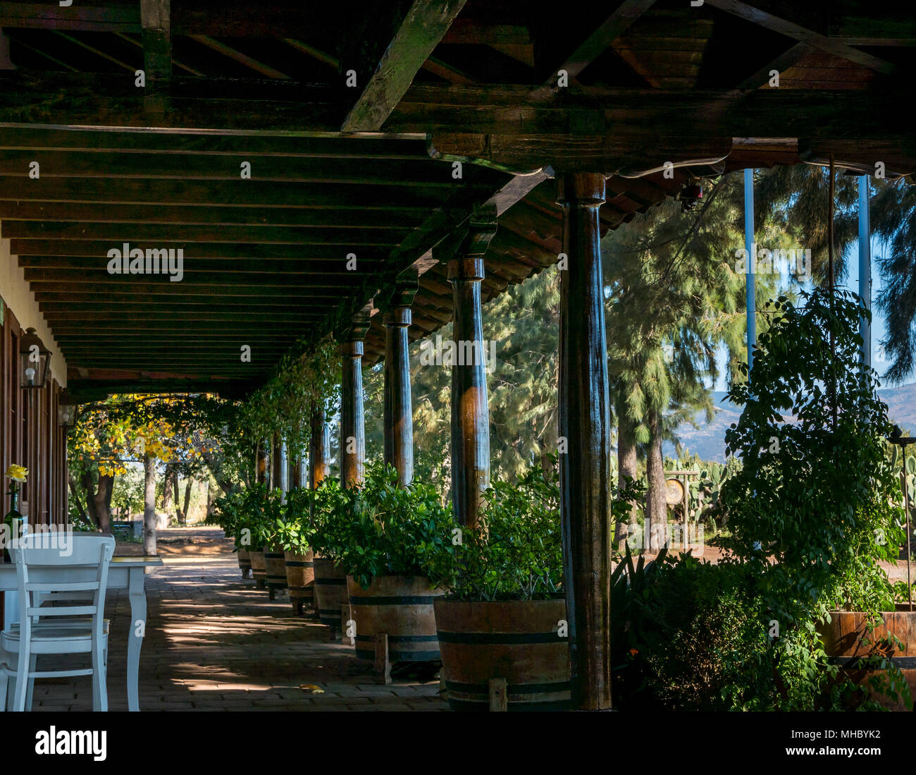 Outside veranda at Laura Hartwig winery, Santa Cruz wine region ...