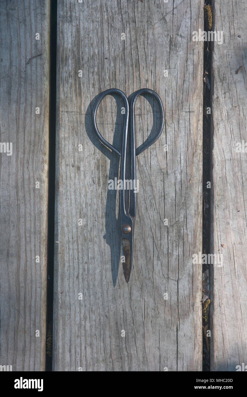 Antique scissors hi-res stock photography and images - Alamy