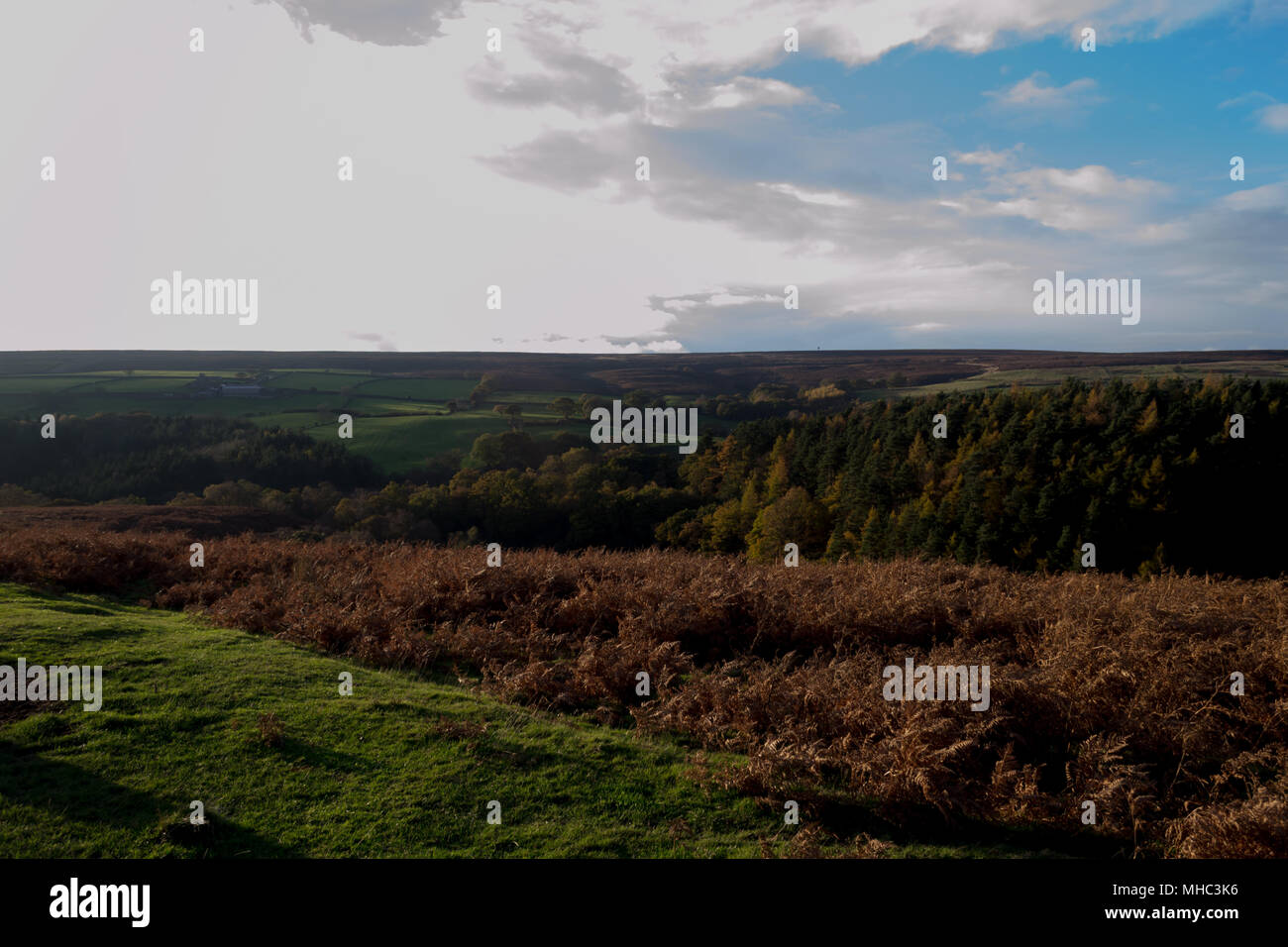 British moors hi-res stock photography and images - Alamy
