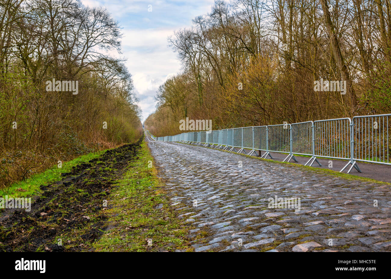 Arenberg forest hi-res stock photography and images - Alamy