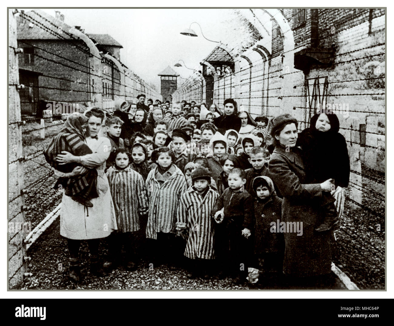 Auschwitz Liberation Stock Photos & Auschwitz Liberation Stock Images ...