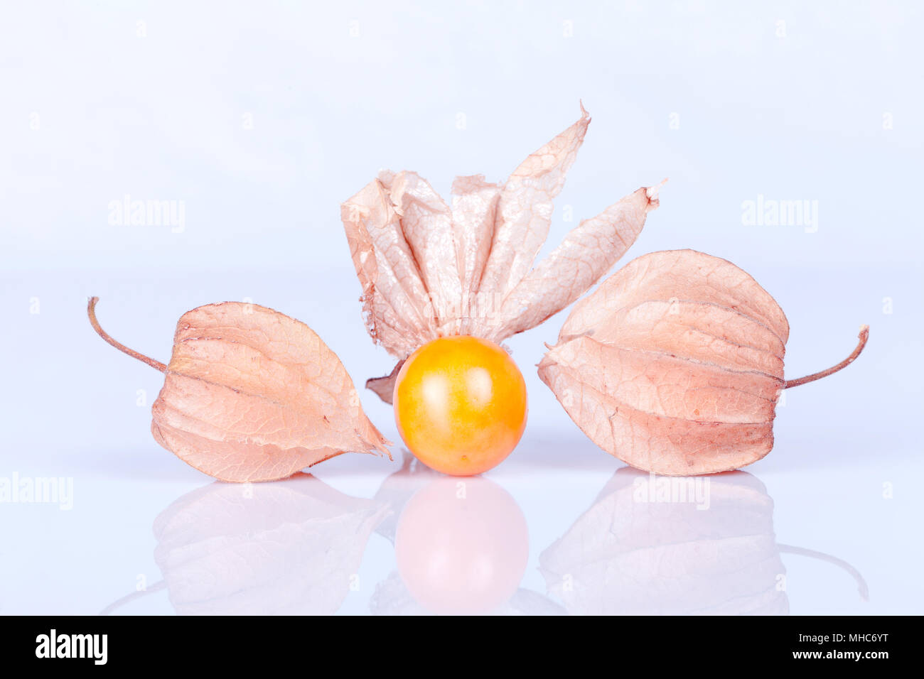Three golden berry isolated on white background with reflection in the ...