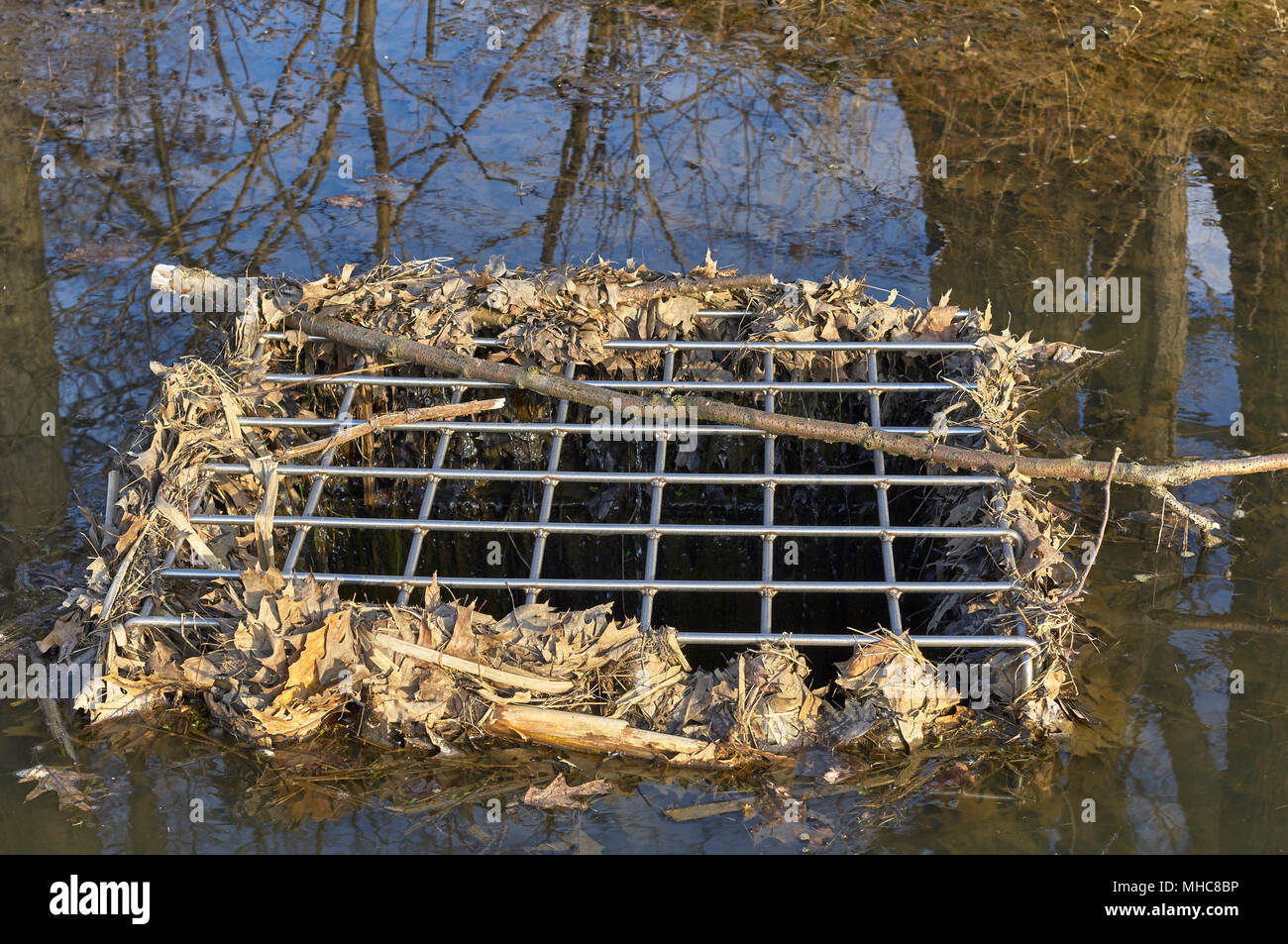 Creek drain hi-res stock photography and images - Alamy