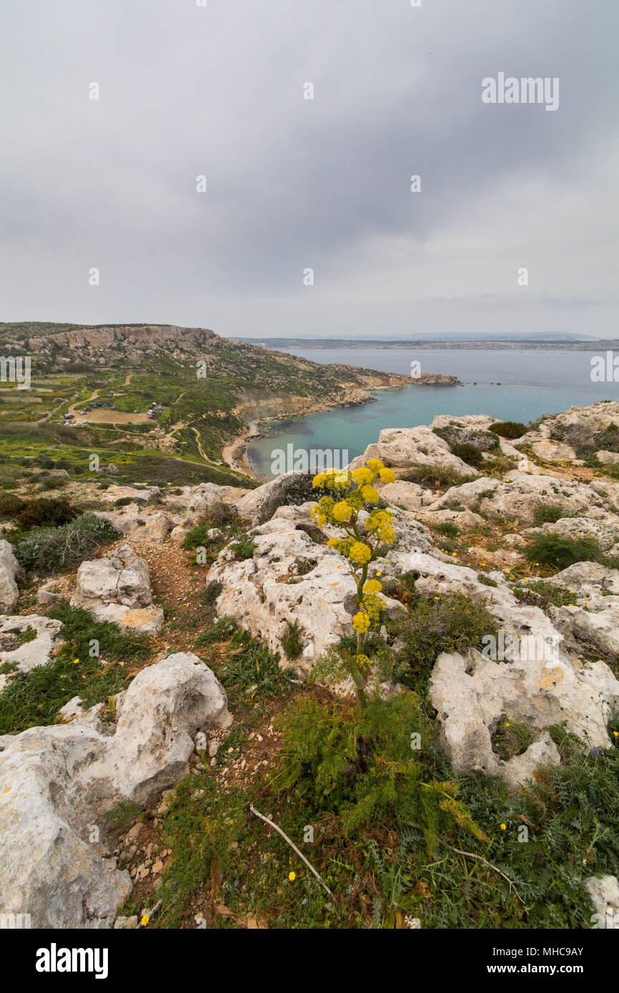 Selmun Bay High Resolution Stock Photography and Images - Alamy