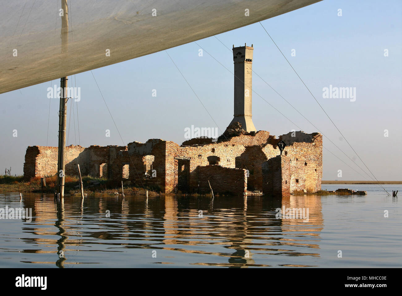 Nature swamp in venetian lagoon Stock Photo - Alamy
