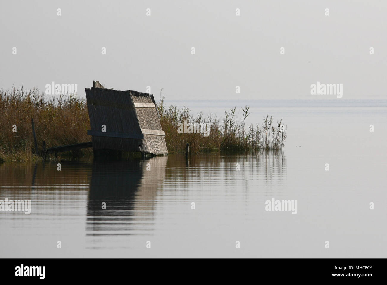 Nature swamp in venetian lagoon Stock Photo - Alamy