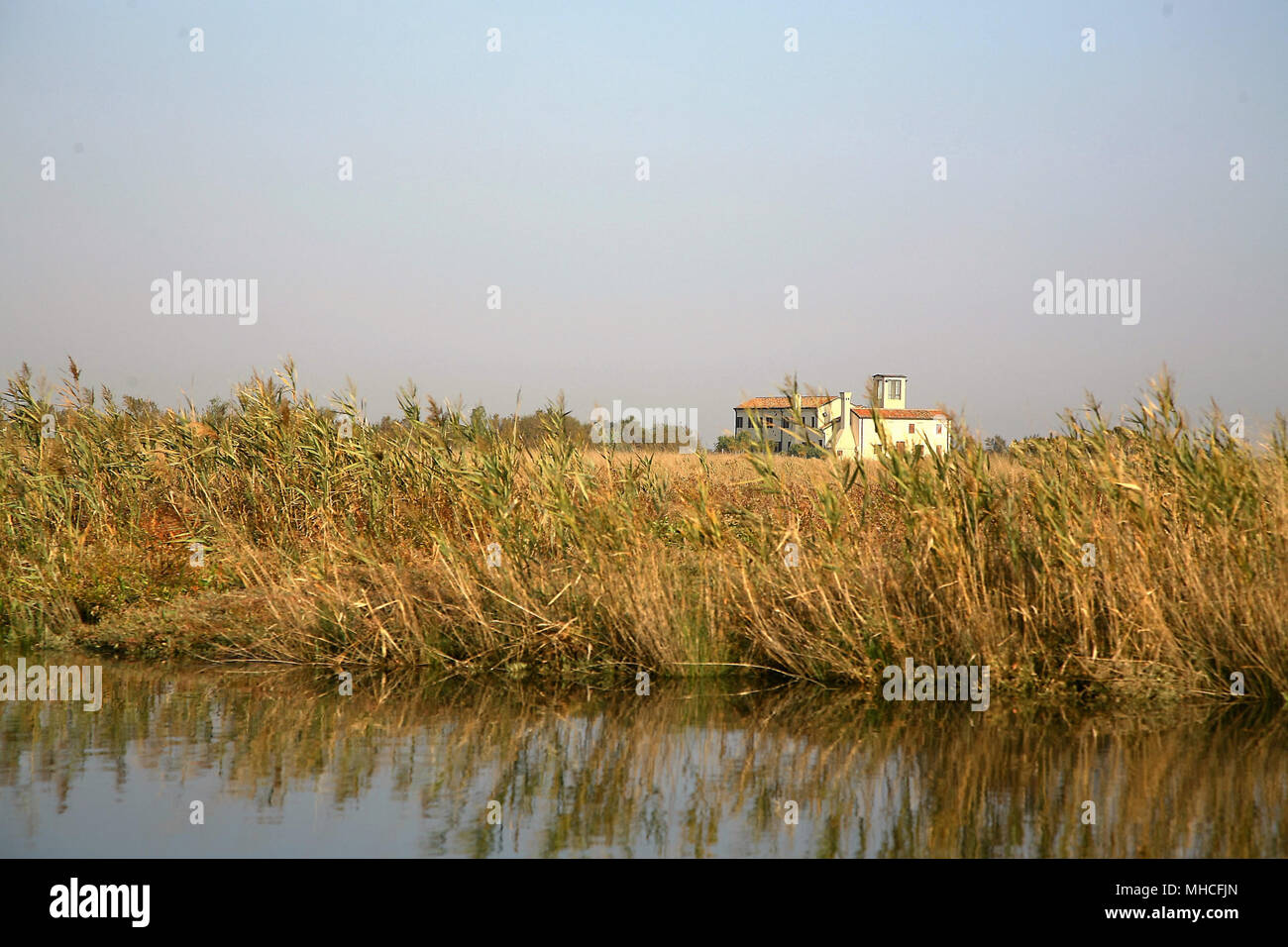 Nature swamp in venetian lagoon Stock Photo - Alamy