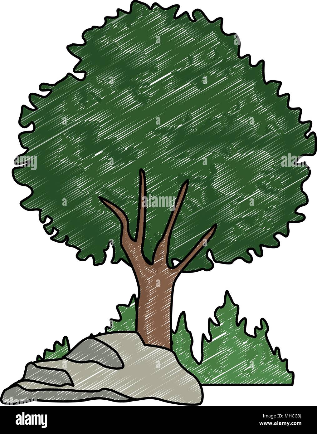 Oak bushes oak tree vector hi-res stock photography and images - Alamy