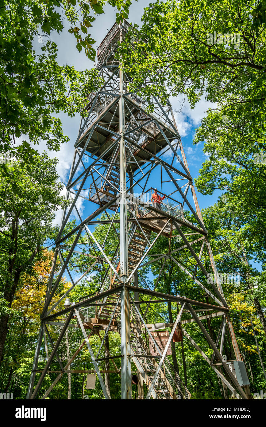 Lookout tower against a beautiful summer blue sky set in a mixed forest ...