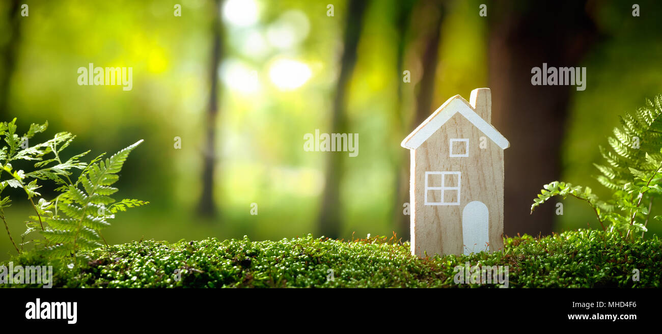 Moss on house hi-res stock photography and images - Alamy