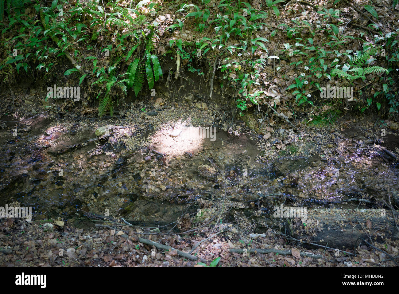 Mud green hi-res stock photography and images - Alamy