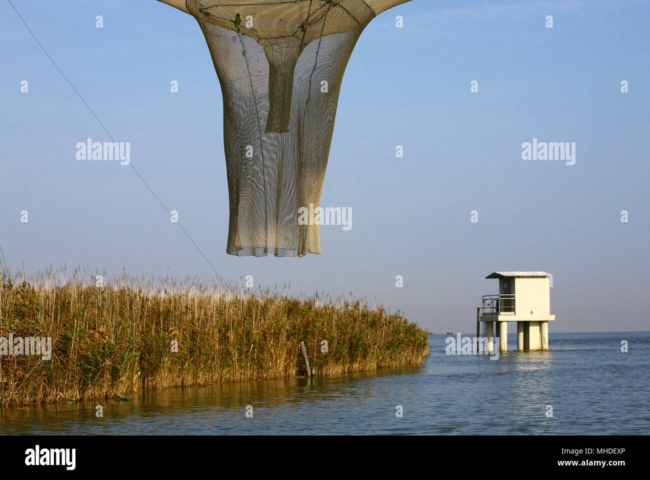 Fishing in venetian lagoon Stock Photo - Alamy