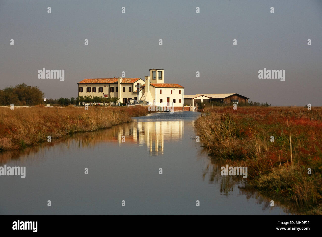 Nature swamp in venetian lagoon Stock Photo - Alamy