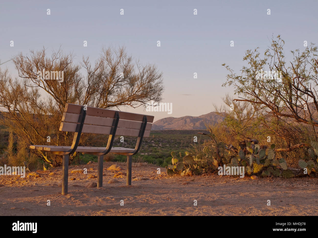 A park bench from behind in Catalina State park in Arizona with morning ...