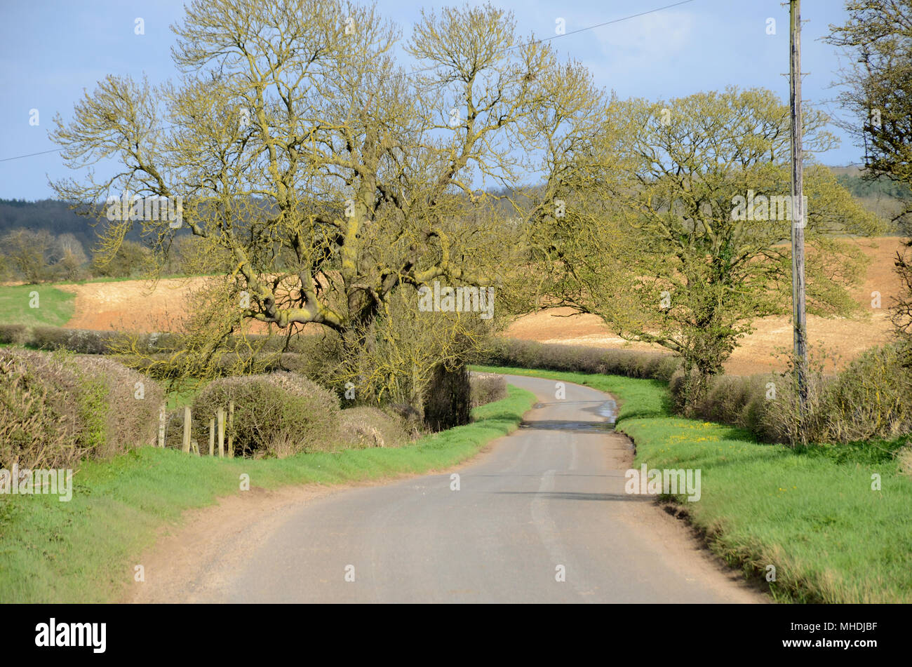 Country Lane in Northamptonshire, England Stock Photo - Alamy