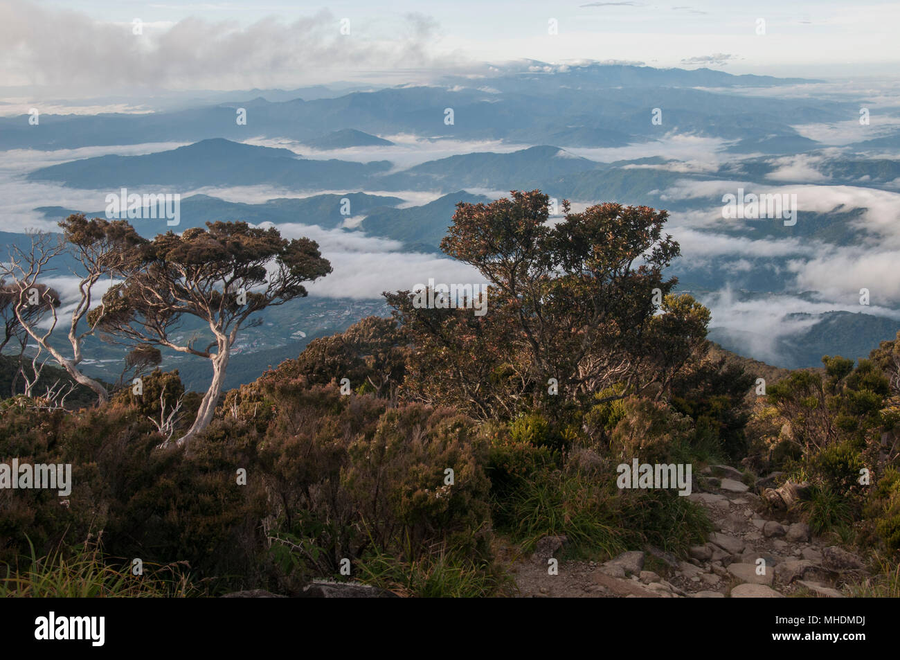 Kinabalu park hi-res stock photography and images - Alamy