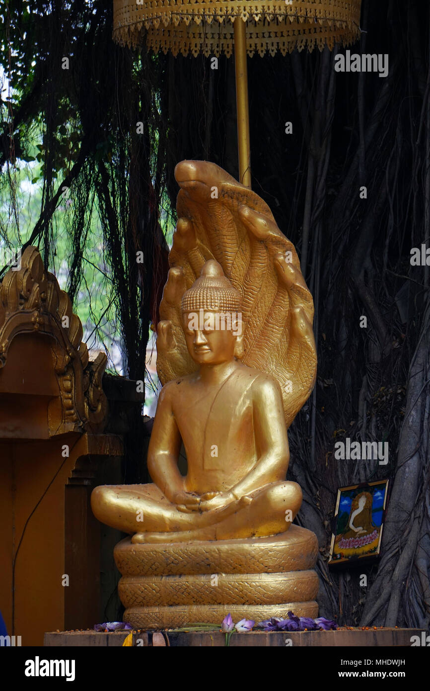 Wat Botum (Wat Botumvatey), Phnom Penh city, Cambodia Stock Photo - Alamy