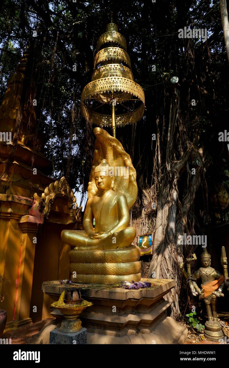 Wat Botum (Wat Botumvatey), Phnom Penh city, Cambodia Stock Photo - Alamy