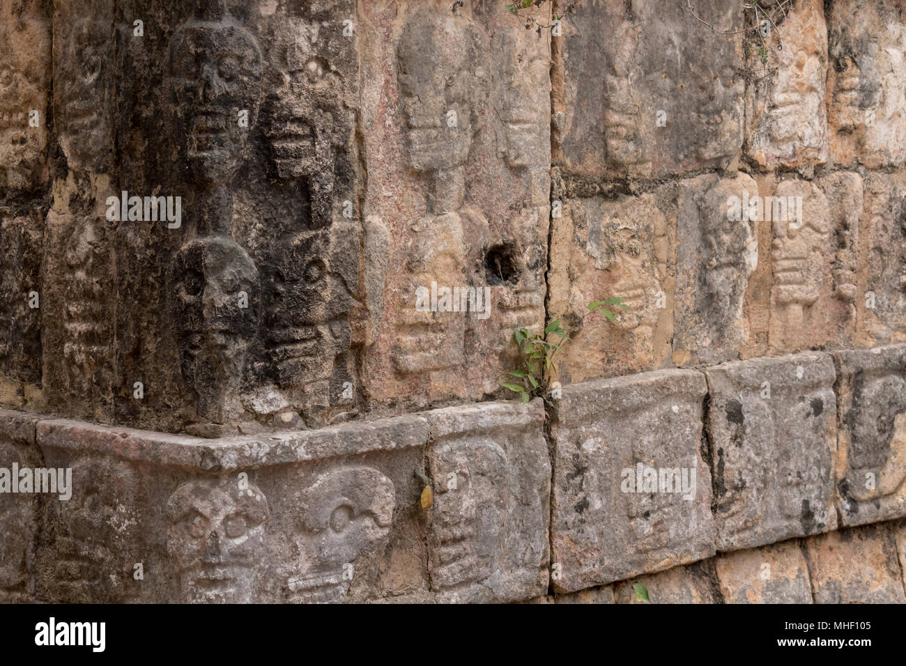 The mayan platform of skulls is a T-shaped platform that is festooned ...