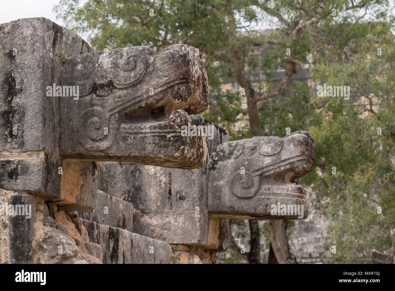 Kukulkan head detail showing fangs and tongue. This mayan deity, the ...