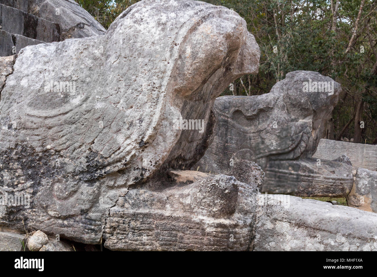 Feathered Snake High Resolution Stock Photography and Images - Alamy