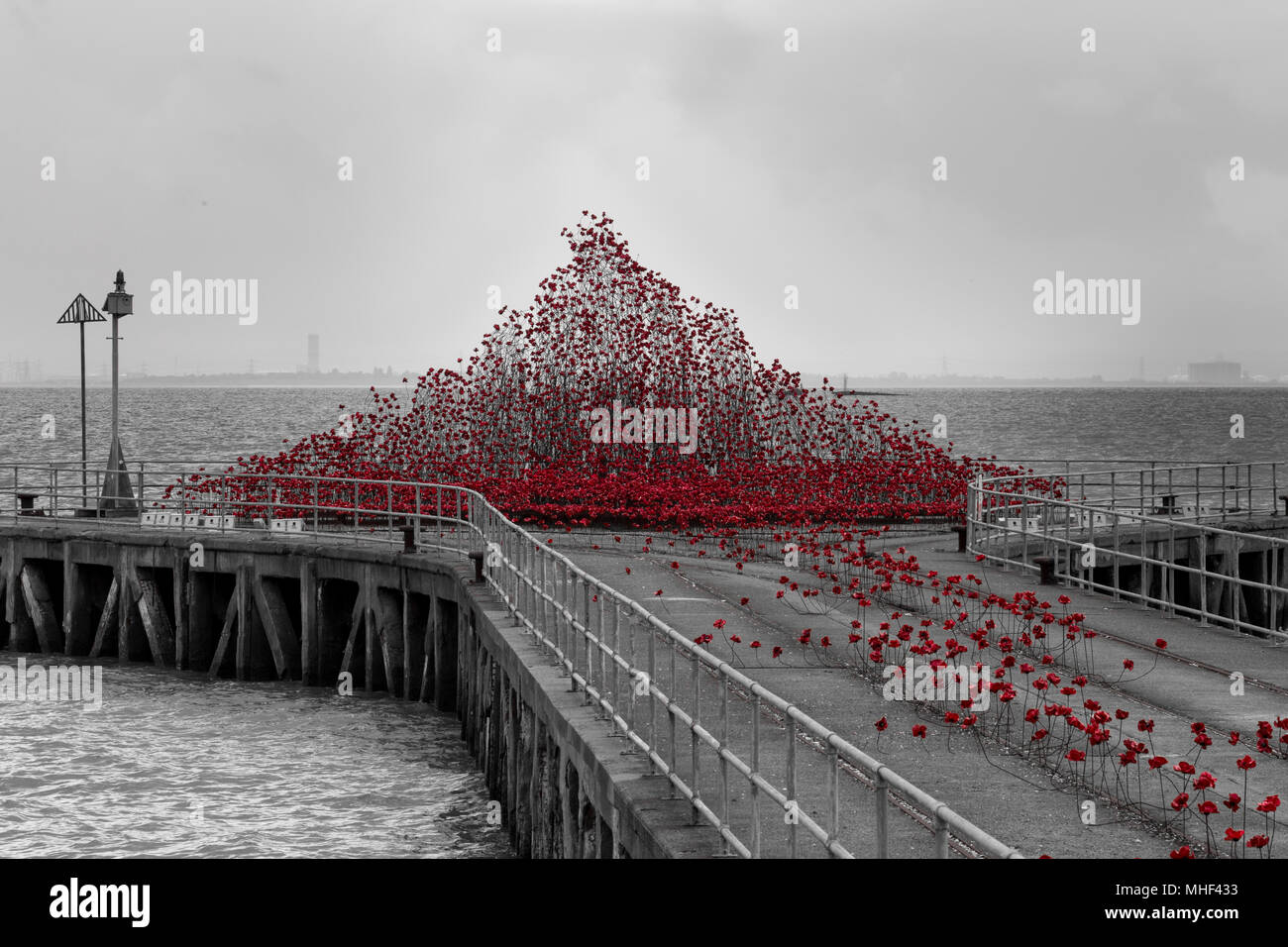 Ww1 poppies tour hi-res stock photography and images - Alamy