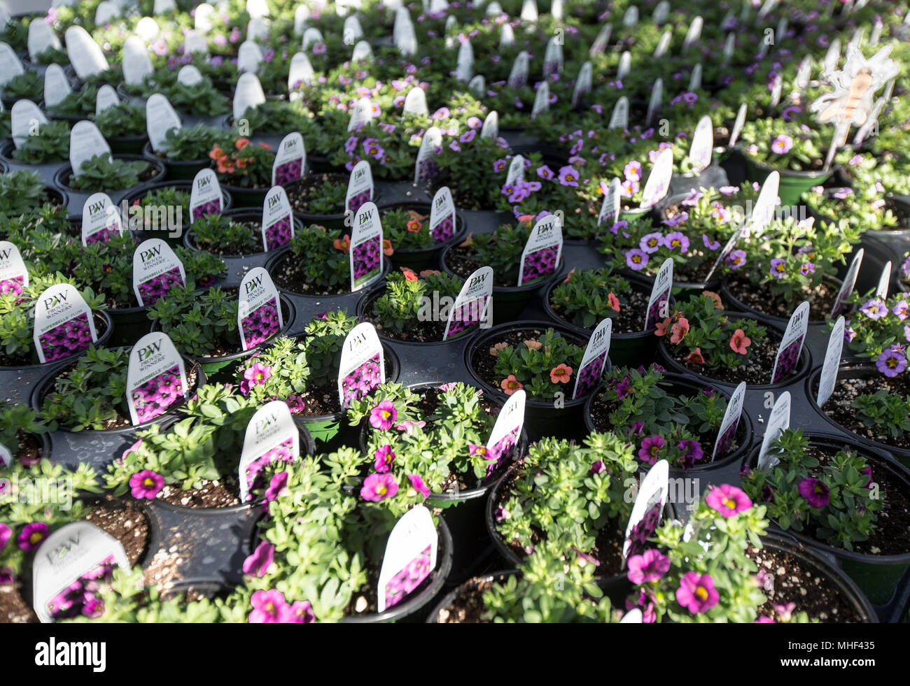 Seedling nursery hi-res stock photography and images - Alamy