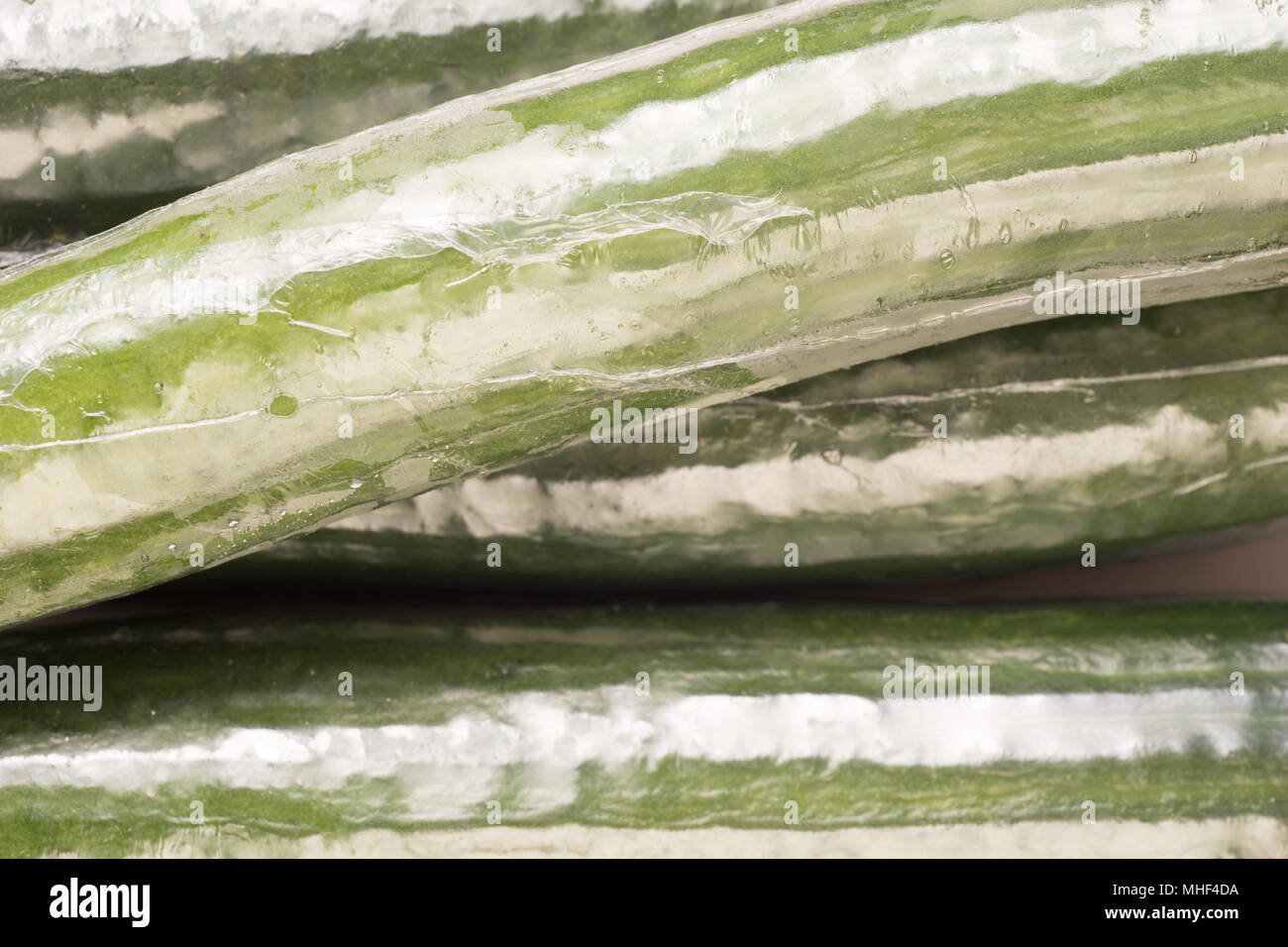 Bunch of cucumber wrapped in plastic films, close up and background ...