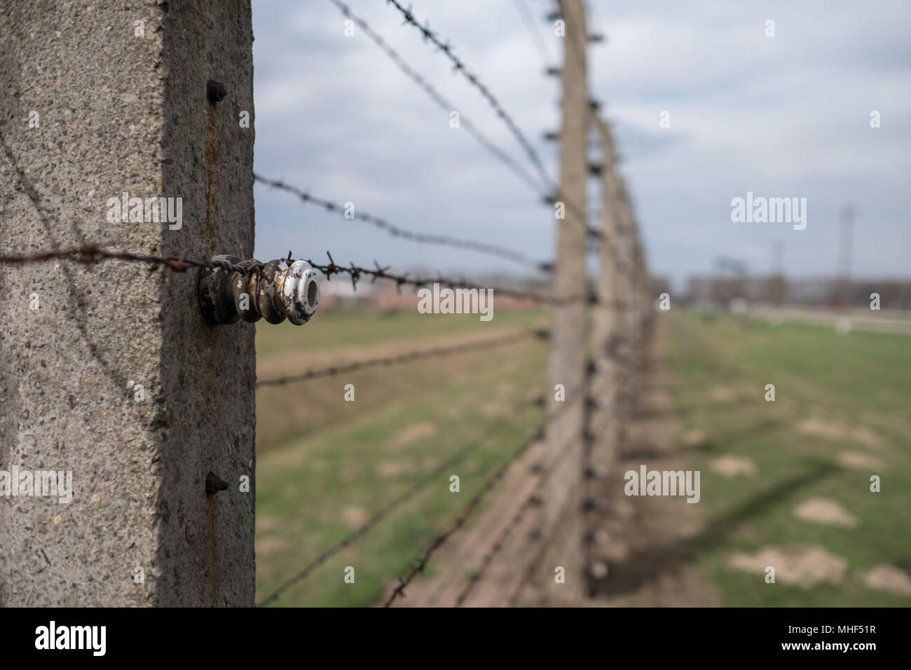 Photo shows detail of barbed wire fence at Auschwitz Birkenau Nazi ...