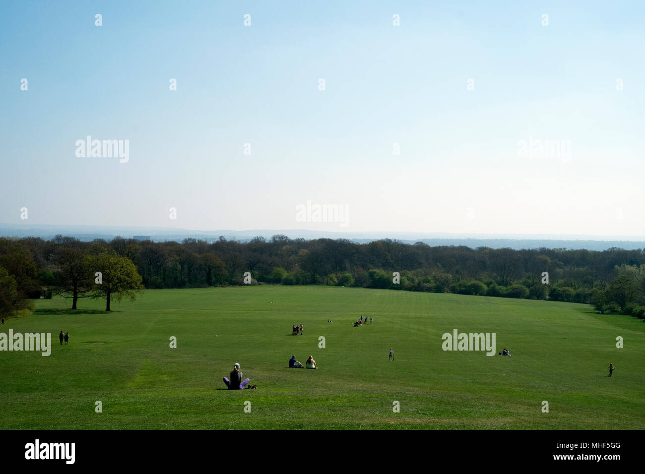 Oxleas wood hi-res stock photography and images - Alamy