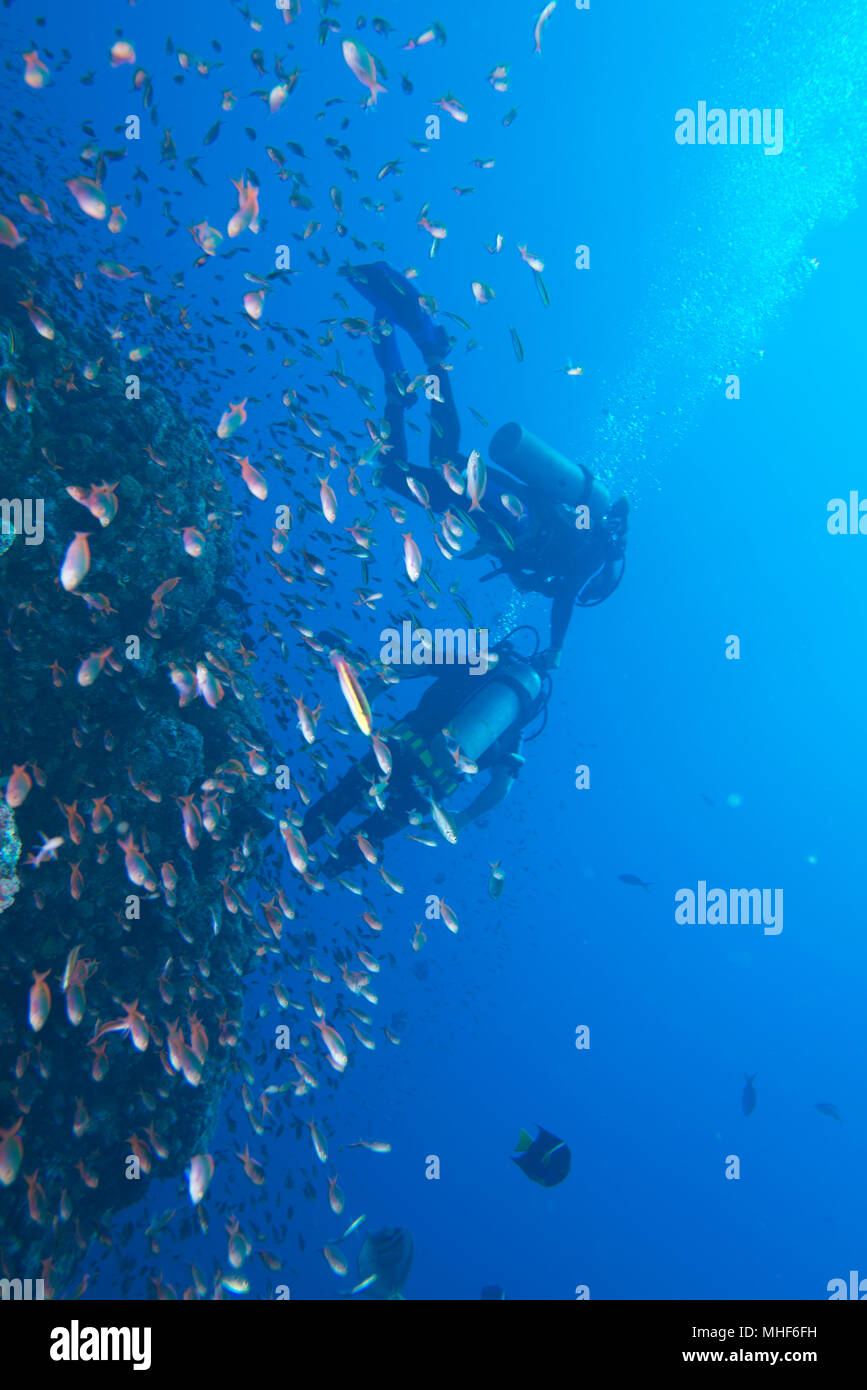 handicapped disabled leg less scuba diver on the reef background Stock ...