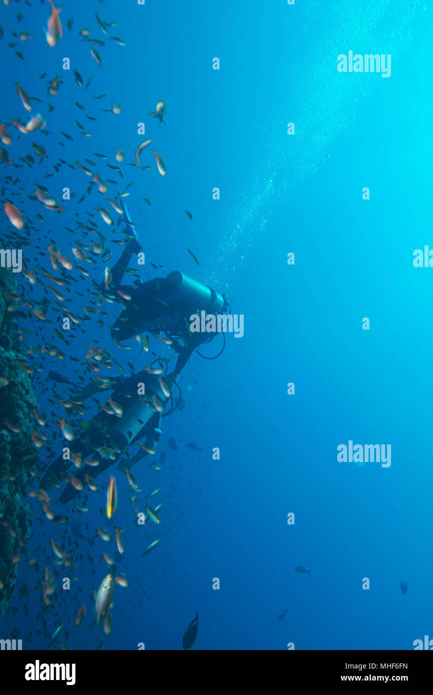 handicapped disabled leg less scuba diver on the reef background Stock ...